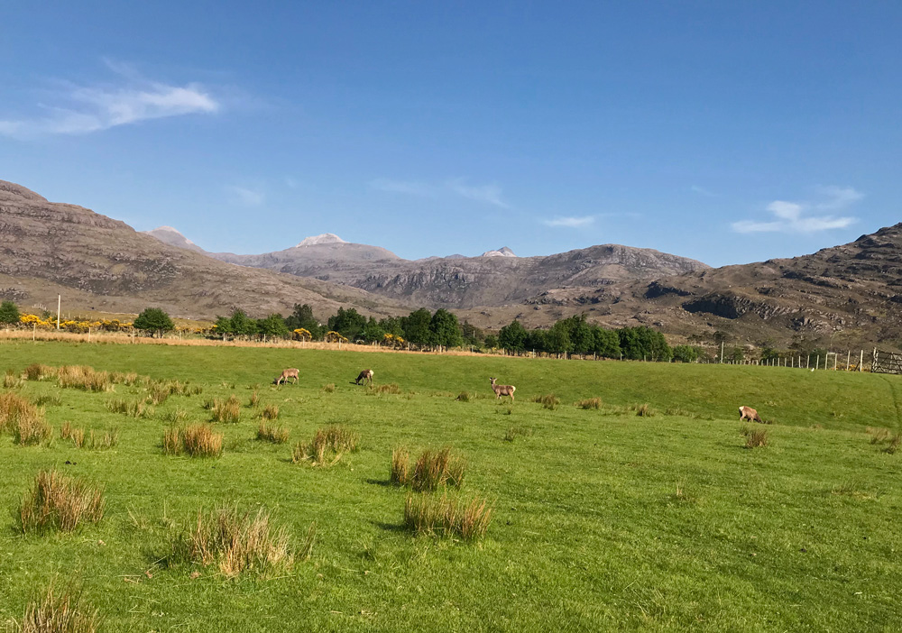 The hint of wilderness with spectacular scenery - Torridon - Nature's ...